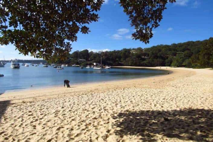 Balmoral Beach: Find Out Everything You Need to Know