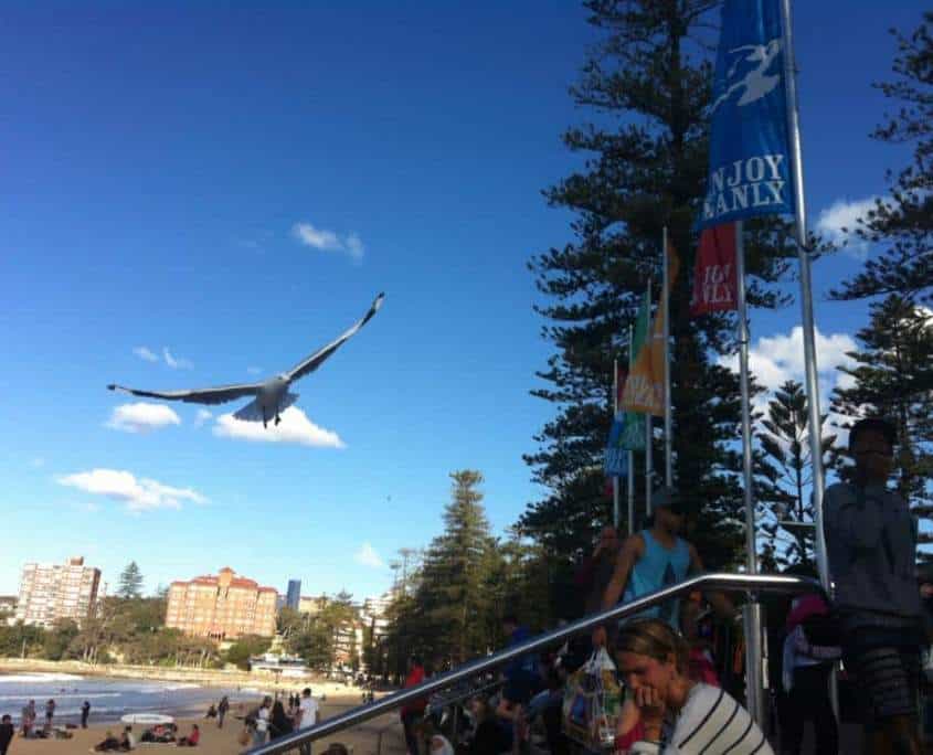 Manly Beach Sydney: The Only Guide You'll Need