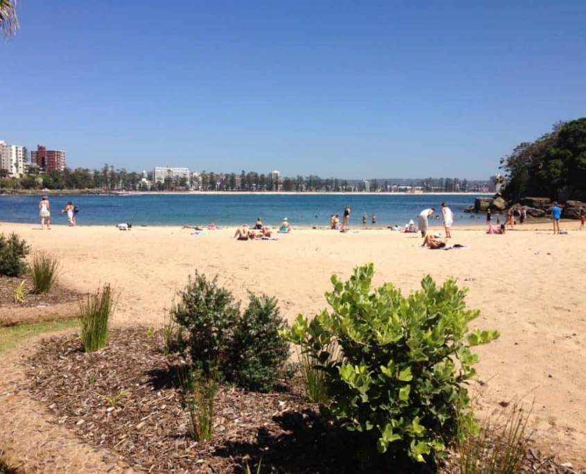 Discover The Best Things to Do at Shelly Beach Manly