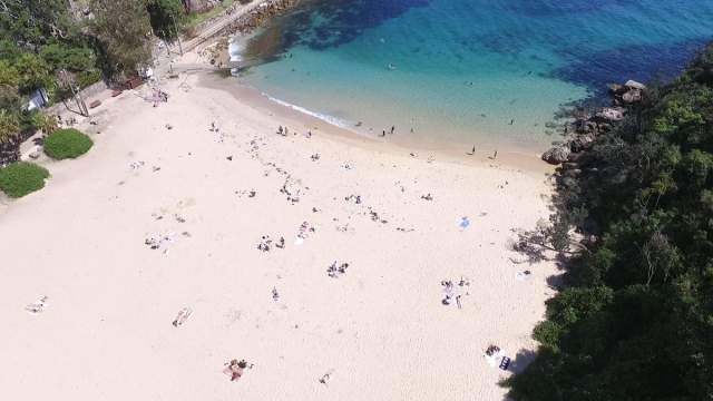 Discover The Best Things to Do at Shelly Beach Manly