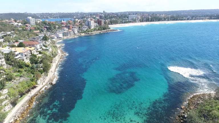 Discover The Best Things to Do at Shelly Beach Manly