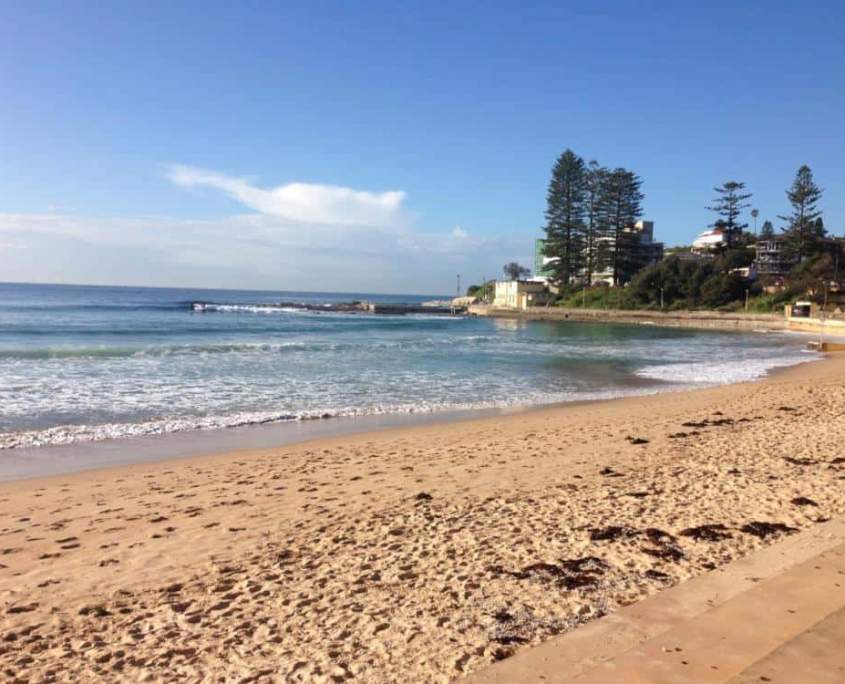 Come Experience the Best Dee Why Beach Has to Offer - AdventureHQ