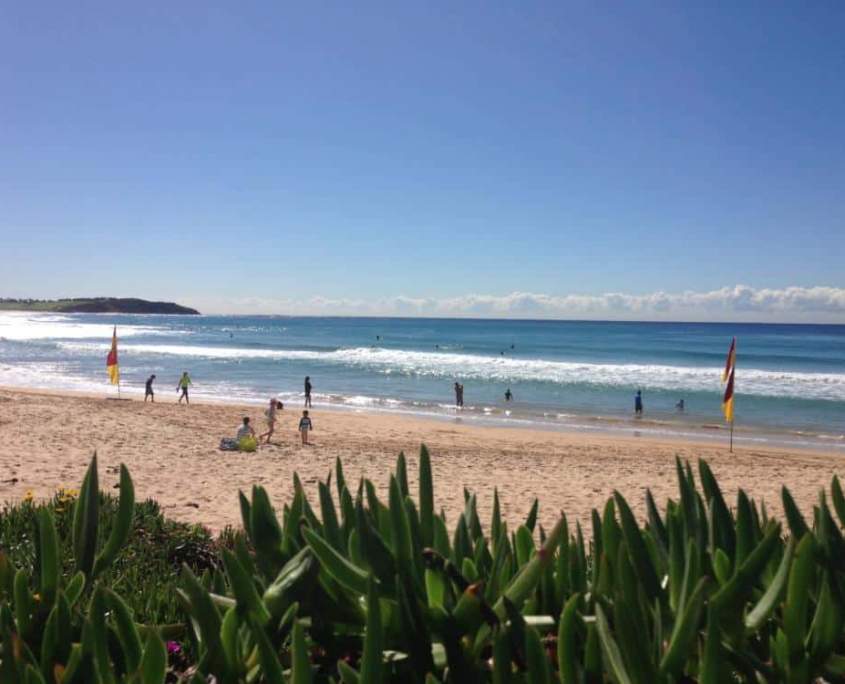Come Experience the Best Dee Why Beach Has to Offer - AdventureHQ