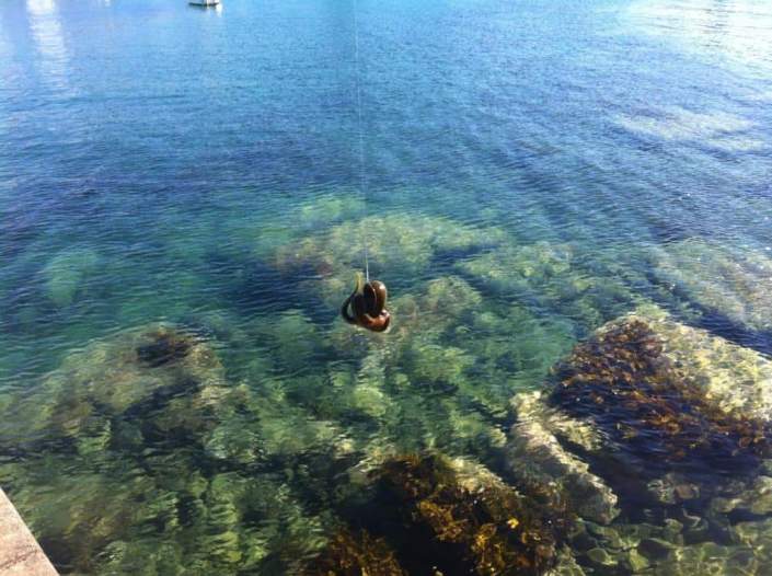 Little Manly Beach: The Perfect Family Beach - AdventureHQ | Travel