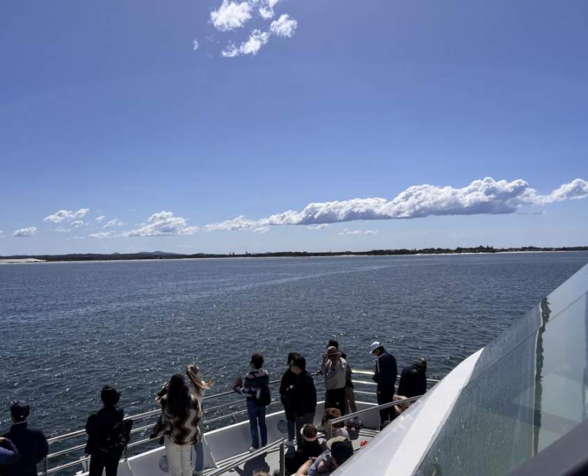 Port Stephens Dolphin Cruise: Fun for the Whole Family - AdventureHQ ...