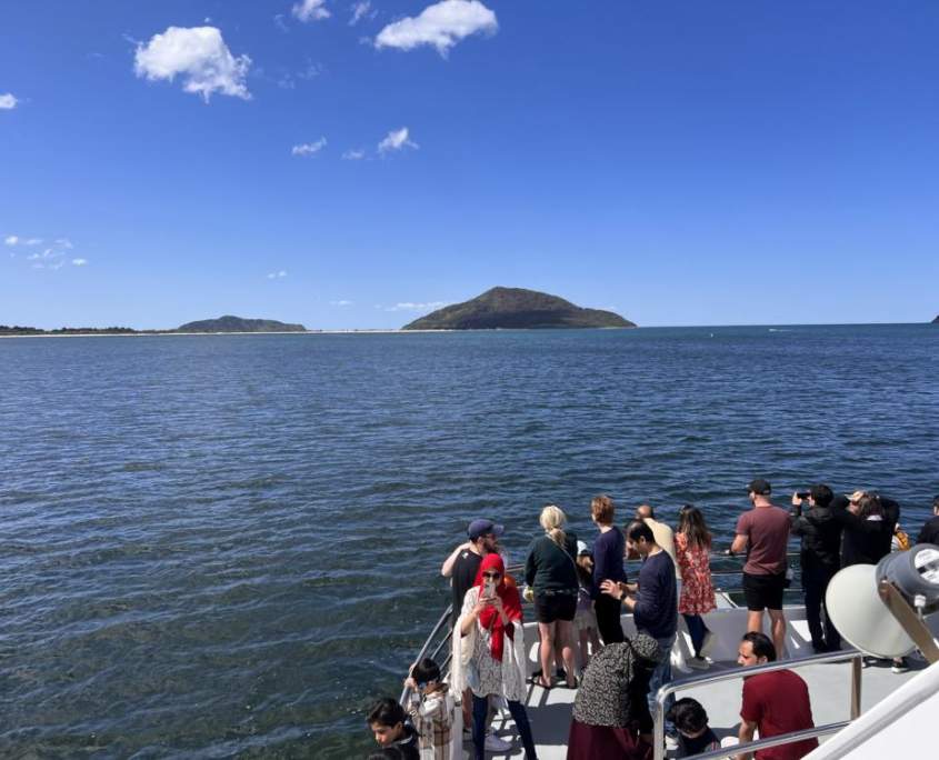 Port Stephens Dolphin Cruise: Fun for the Whole Family - AdventureHQ