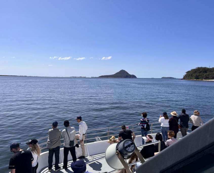 Port Stephens Dolphin Cruise: Fun for the Whole Family - AdventureHQ