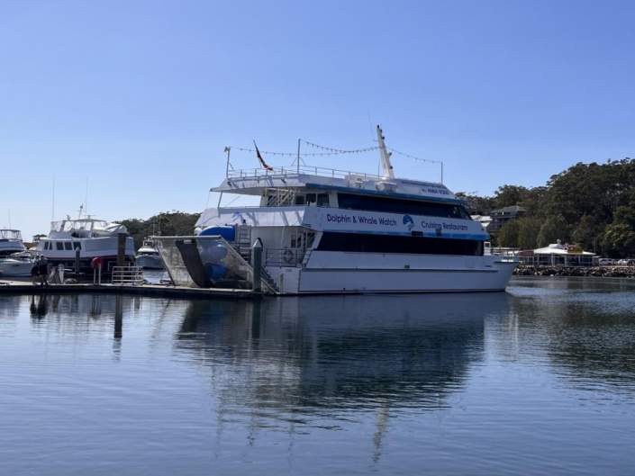Port Stephens Dolphin Cruise: Fun for the Whole Family - AdventureHQ