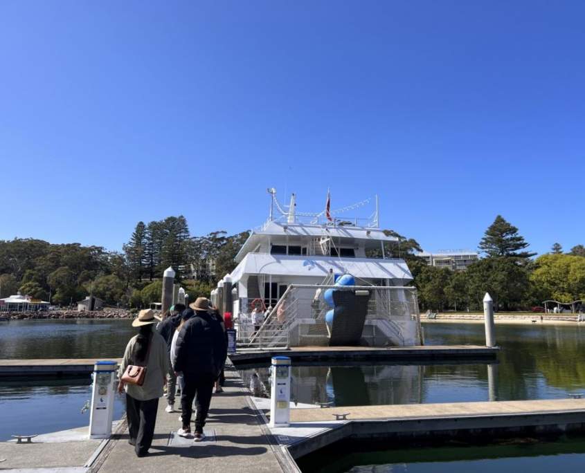 Port Stephens Dolphin Cruise: Fun for the Whole Family - AdventureHQ