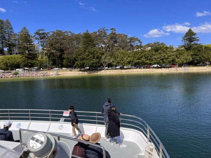 Port Stephens Dolphin Cruise: Fun for the Whole Family - AdventureHQ