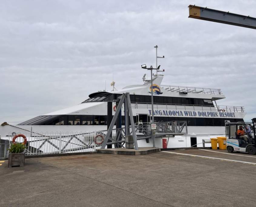 Tangalooma Resort: Holiday Experience Like No Other - AdventureHQ