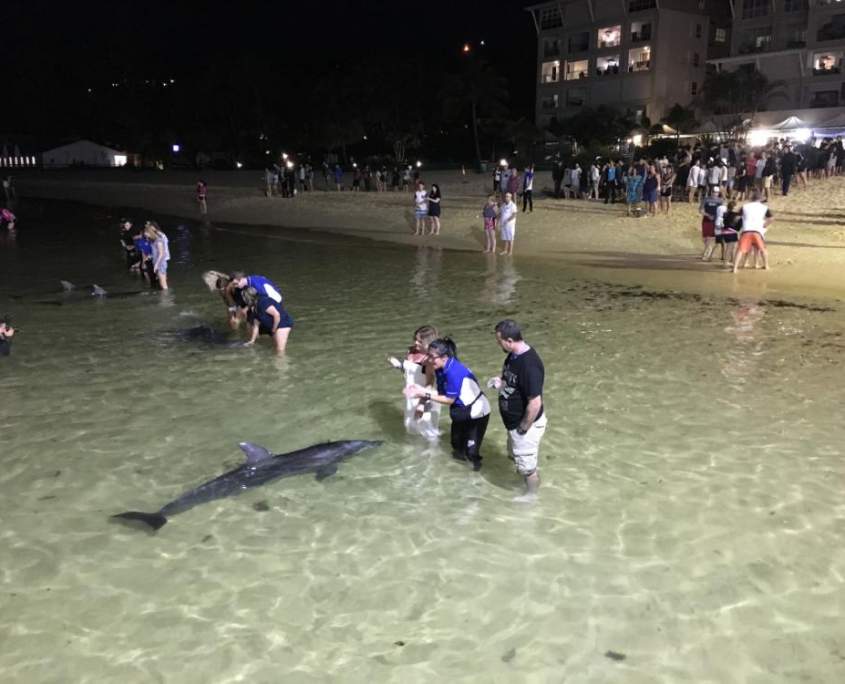 Tangalooma Resort: Holiday Experience Like No Other - AdventureHQ