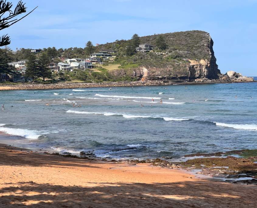 Avalon Beach: Best Place for a Family Holiday - AdventureHQ | Travel