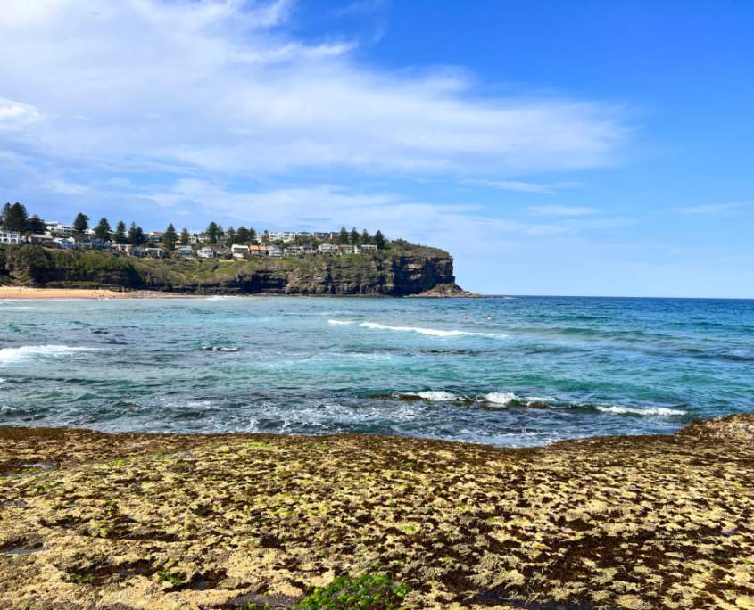 Bilgola Beach: A Day of Fun, Sun and Surf - AdventureHQ | Travel
