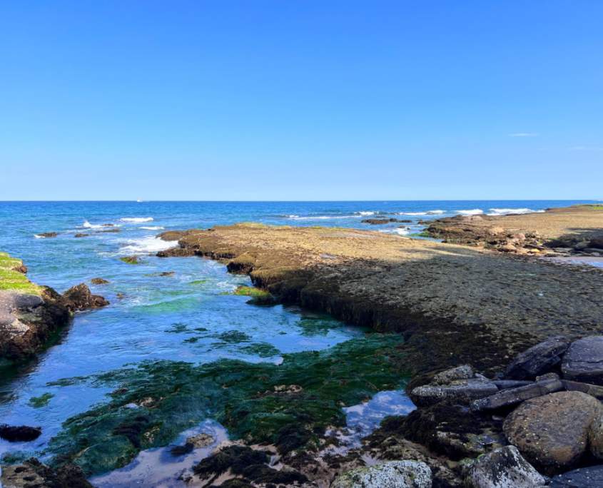 Bilgola Beach: A Day of Fun, Sun and Surf - AdventureHQ | Travel