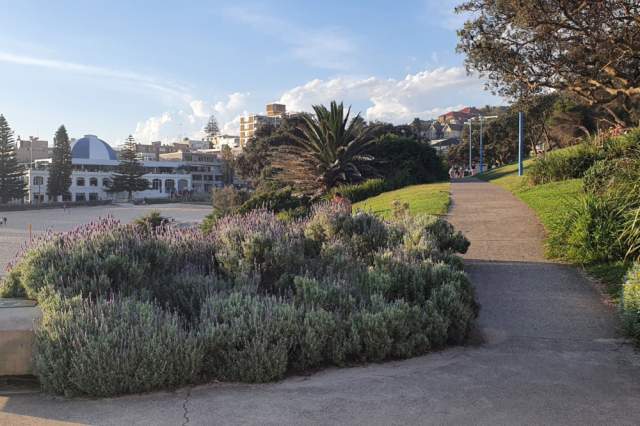 Coogee Beach: The Perfect Place to Spend a Summer Day - AdventureHQ