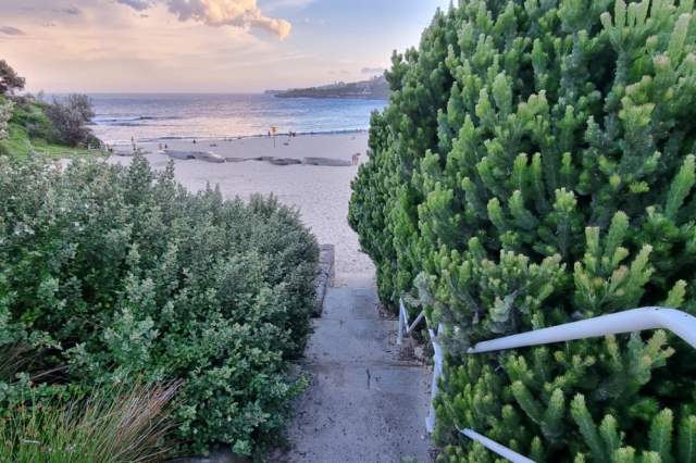 Coogee Beach: The Perfect Place to Spend a Summer Day - AdventureHQ