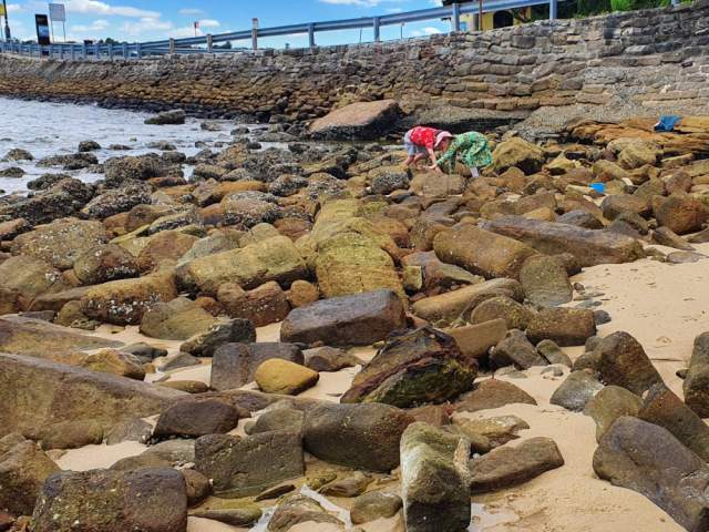 Bundeena Beach: Ideal Beach for Everyone - AdventureHQ | Travel