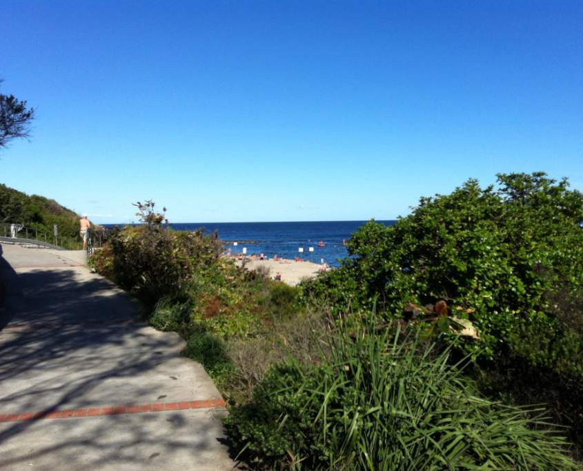 Clovelly Beach: Come for the Sun, Stay for the Fun