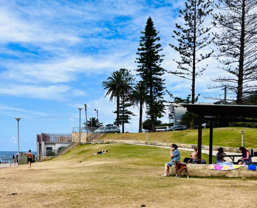 Collaroy Beach: The Ultimate Summer Destination - AdventureHQ | Travel