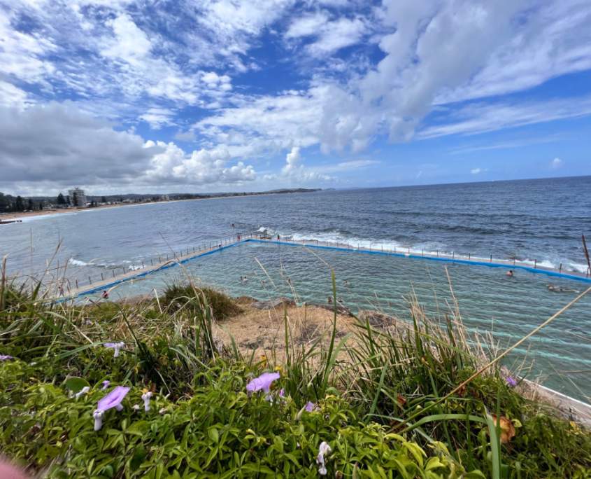 Collaroy Beach: The Ultimate Summer Destination - AdventureHQ | Travel