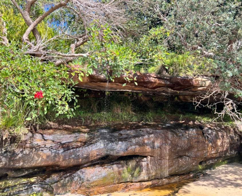 Collins Beach: Escape the Manly Crowds - AdventureHQ