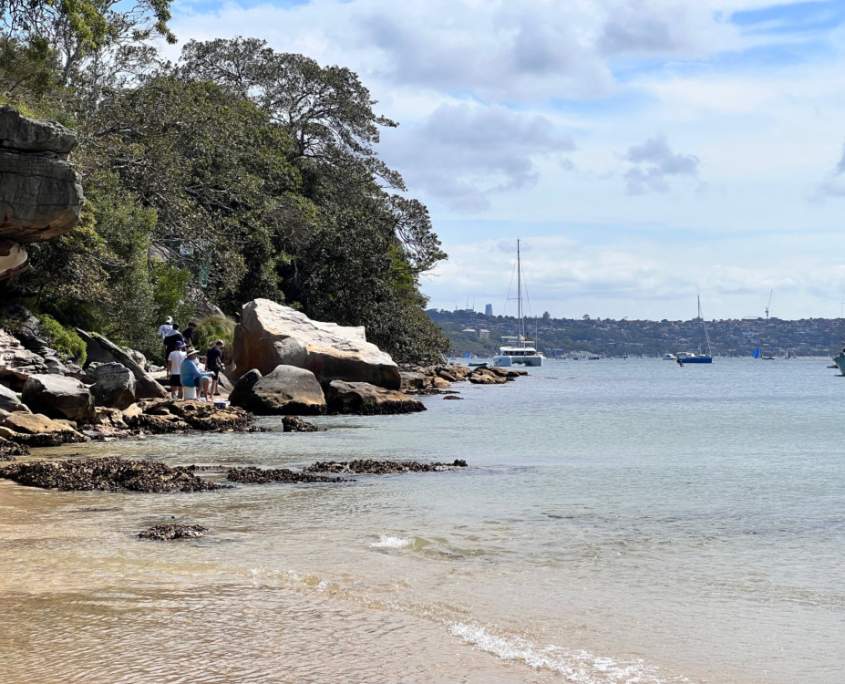 Collins Beach: Escape the Manly Crowds - AdventureHQ