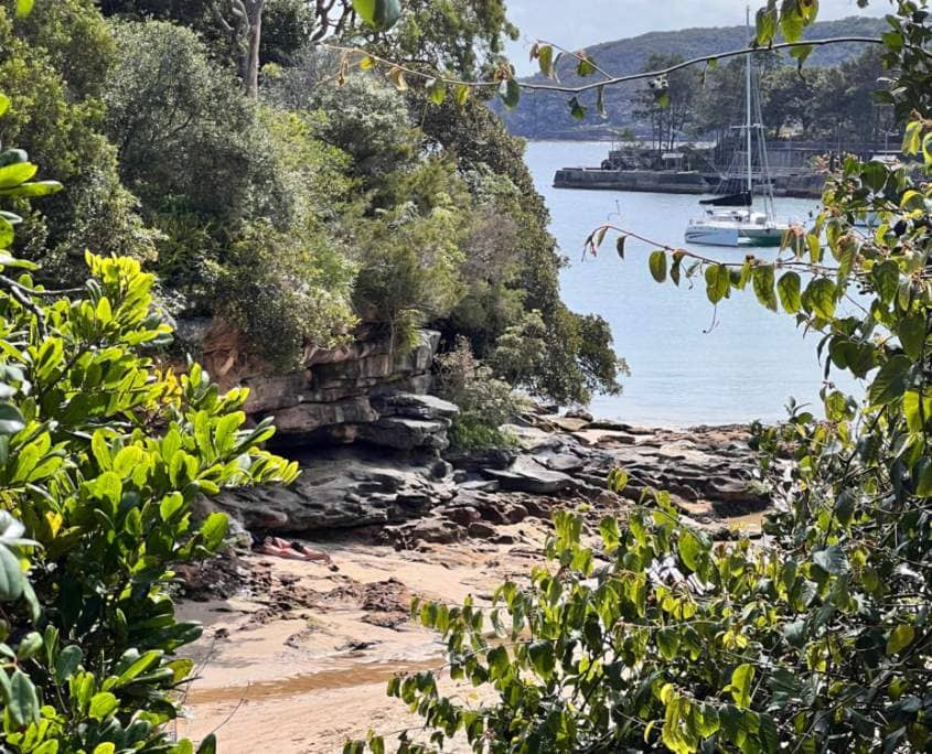 Collins Beach: Escape the Manly Crowds - AdventureHQ