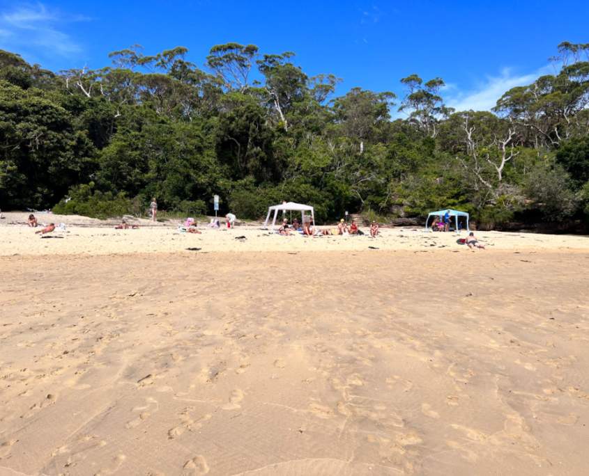 Collins Beach: Escape the Manly Crowds - AdventureHQ