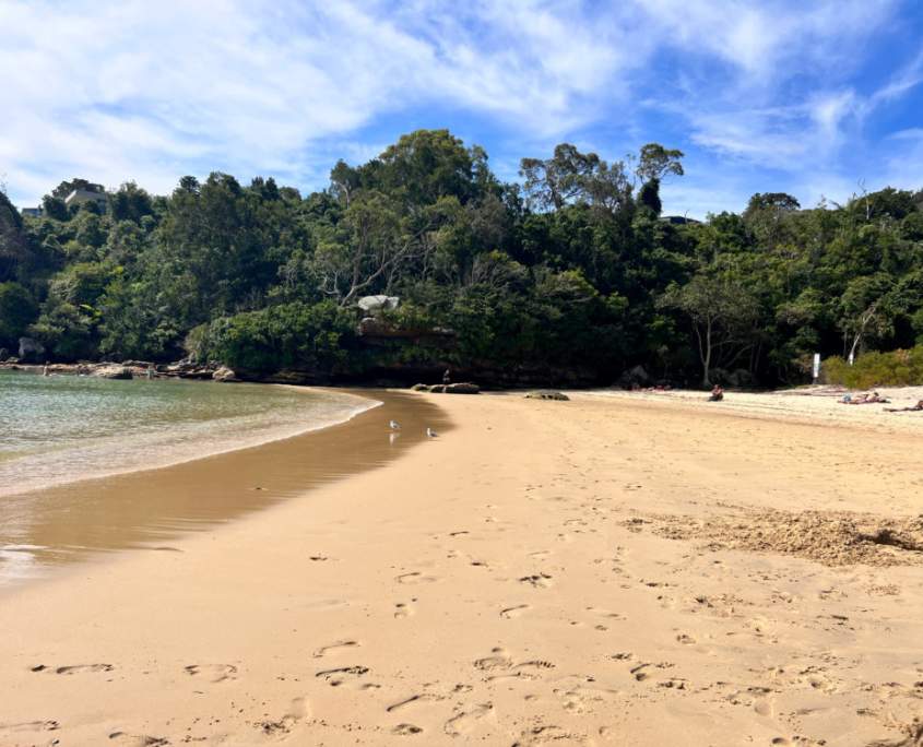 Collins Beach: Escape the Manly Crowds - AdventureHQ