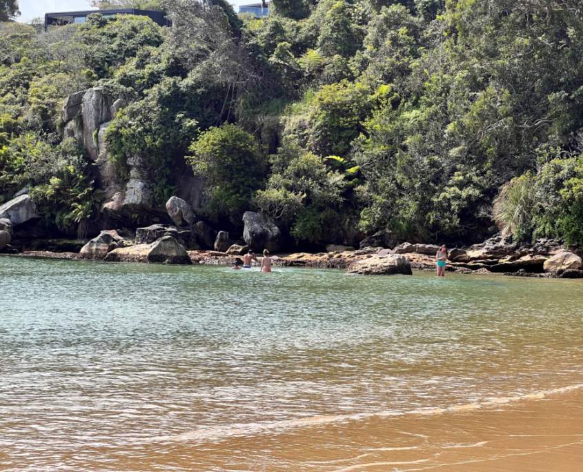 Collins Beach: Escape the Manly Crowds - AdventureHQ