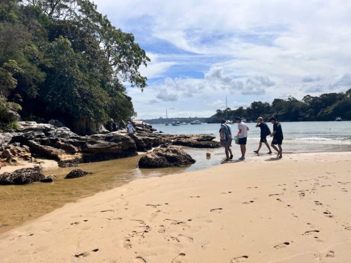 Collins Beach: Escape the Manly Crowds - AdventureHQ