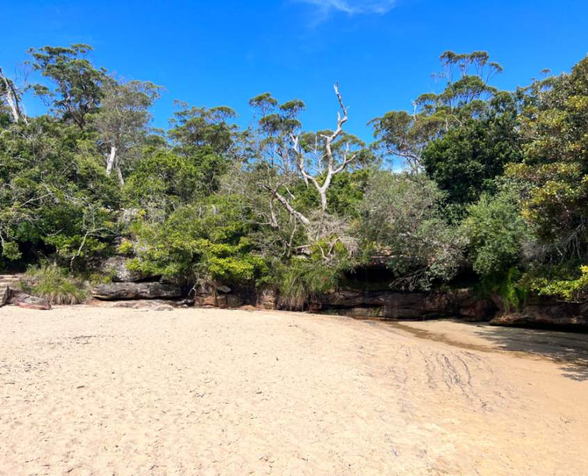 Collins Beach: Escape the Manly Crowds - AdventureHQ