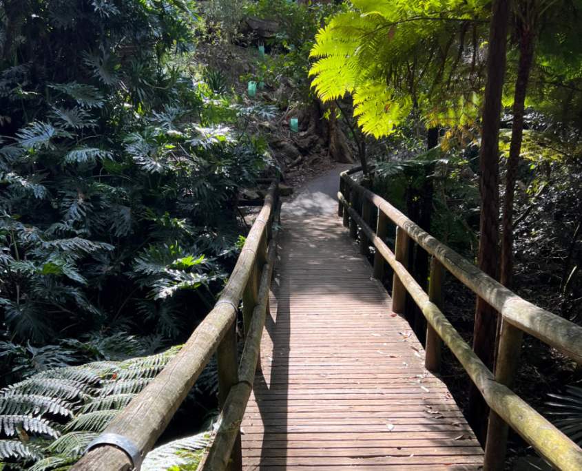 Corner Beach: Quiet Family Friendly Spot with Great Views | AdventureHQ