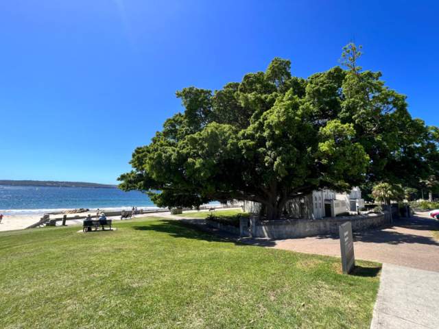 Exploring Edwards Beach, Sydney's Best Kept Secret - AdventureHQ