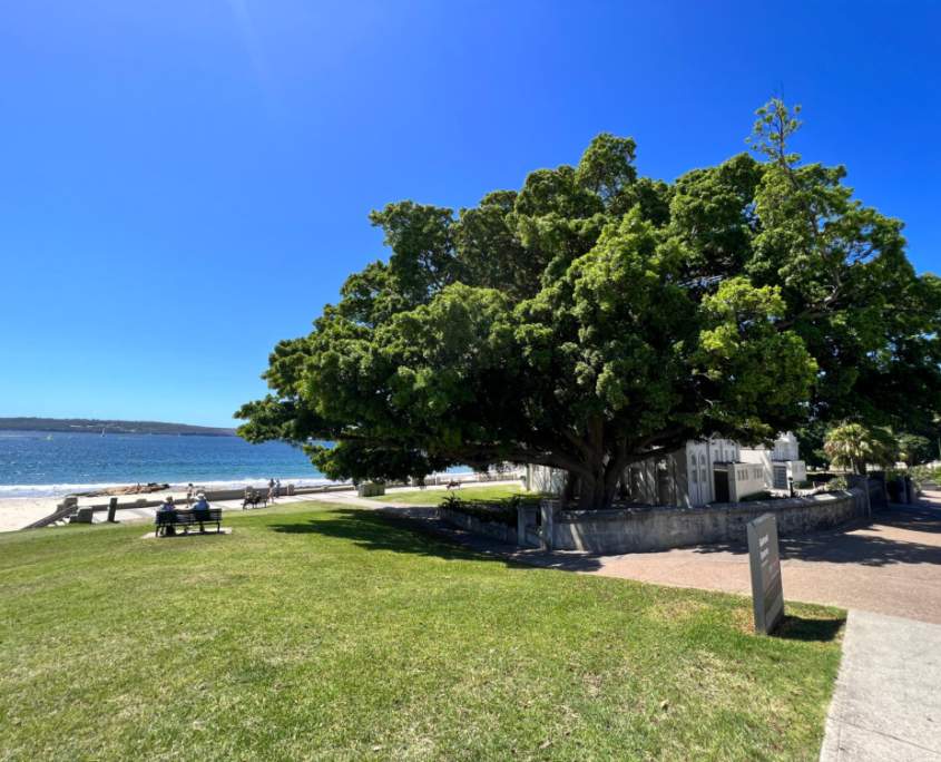 Exploring Edwards Beach, Sydney's Best Kept Secret - AdventureHQ