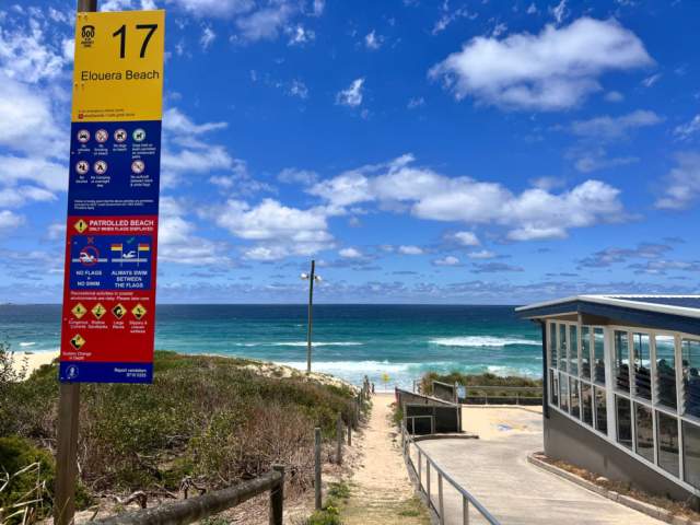 Soak Up The Sun at Elouera Beach - AdventureHQ | Travel