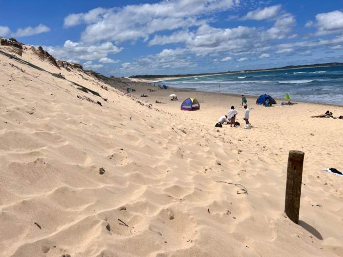 Soak Up The Sun at Elouera Beach - AdventureHQ | Travel