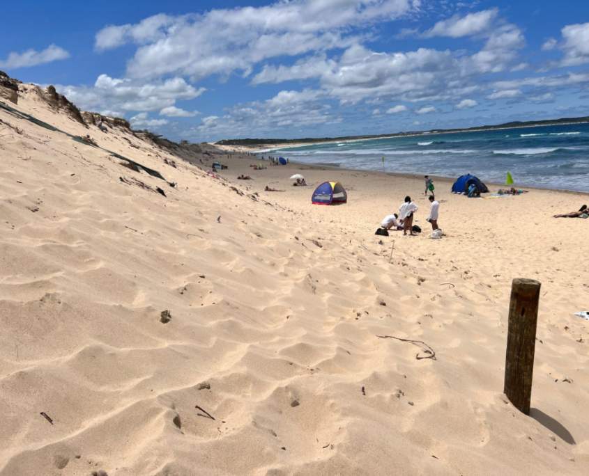 Soak Up The Sun at Elouera Beach - AdventureHQ | Travel