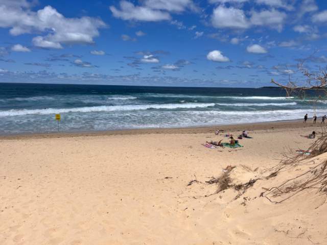 Soak Up The Sun at Elouera Beach - AdventureHQ | Travel