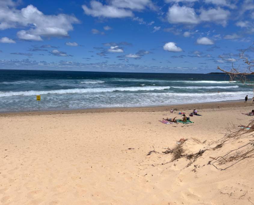 Soak Up The Sun at Elouera Beach - AdventureHQ | Travel