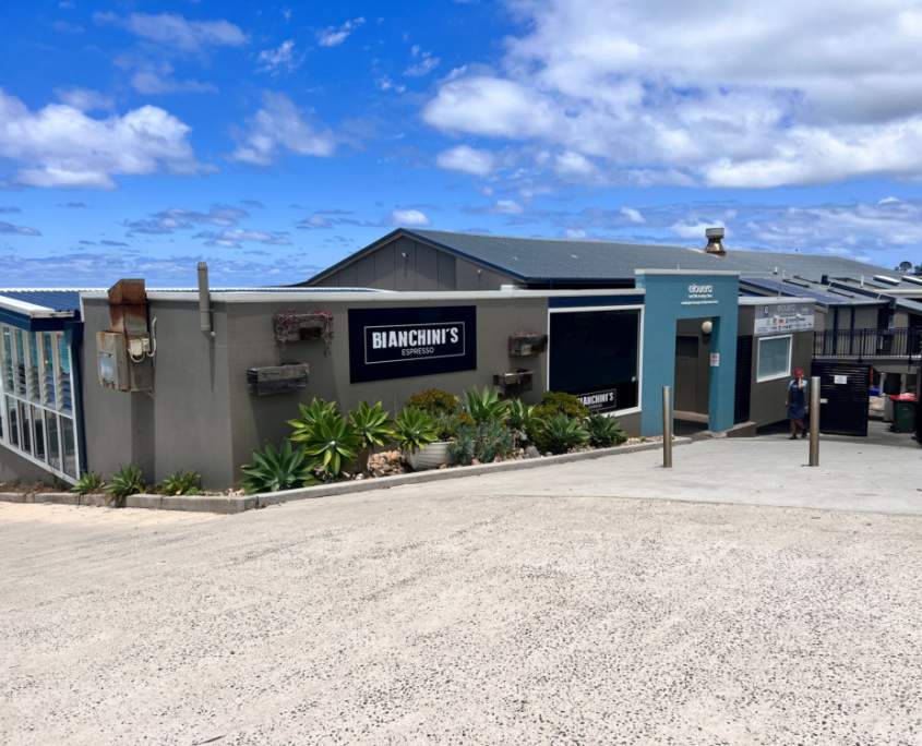 Soak Up The Sun at Elouera Beach - AdventureHQ | Travel