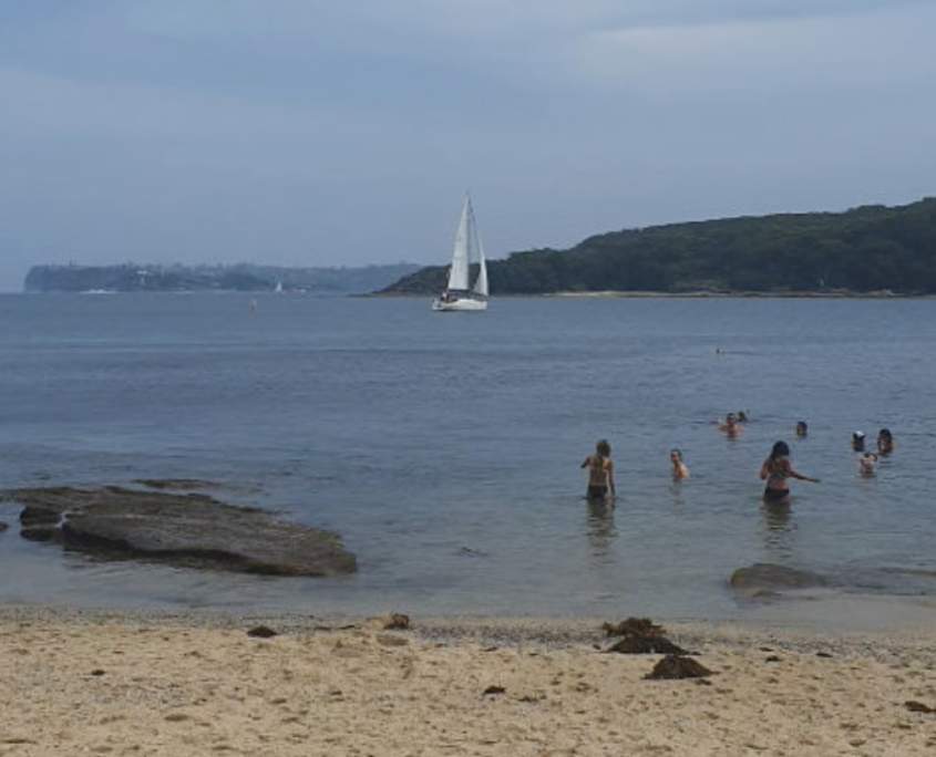Fairlight Beach: Harbour Views Without the Crowds
