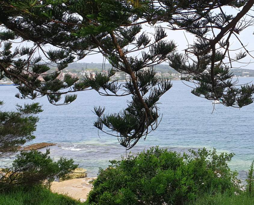Fairlight Beach: Harbour Views Without the Crowds
