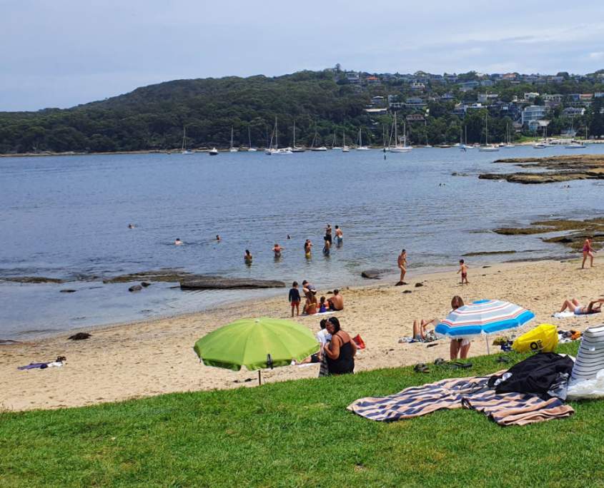 Fairlight Beach: Harbour Views Without the Crowds