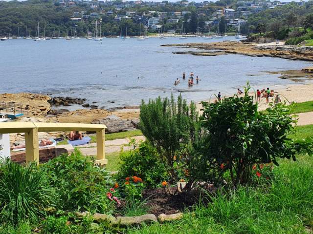 Fairlight Beach: Harbour Views Without the Crowds