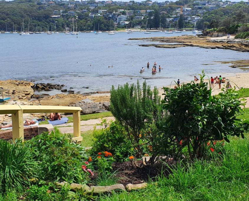 Fairlight Beach: Harbour Views Without the Crowds