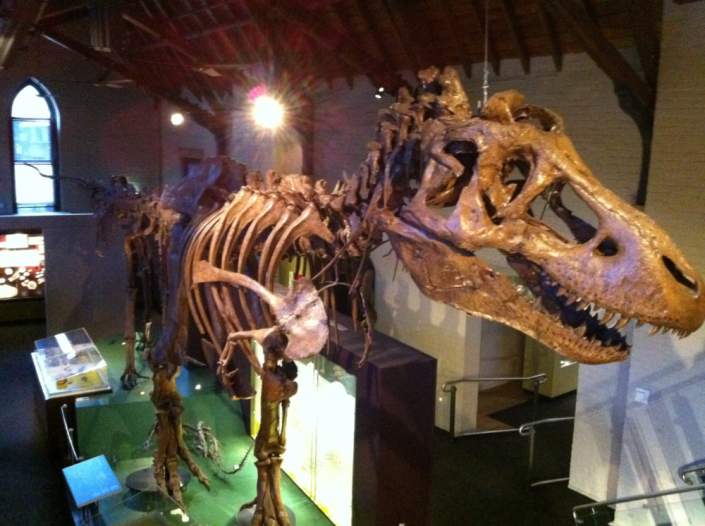 Bathurst dinosaur museum - AdventureHQ | Travel