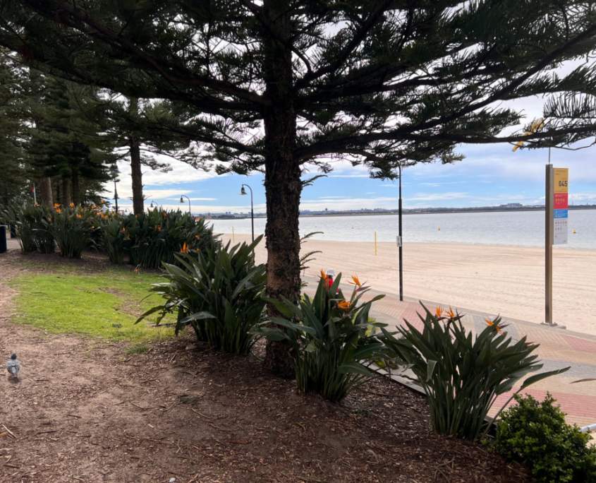 Lady Robinson's Beach: Watch Planes, Relax, and Unwind - AdventureHQ ...