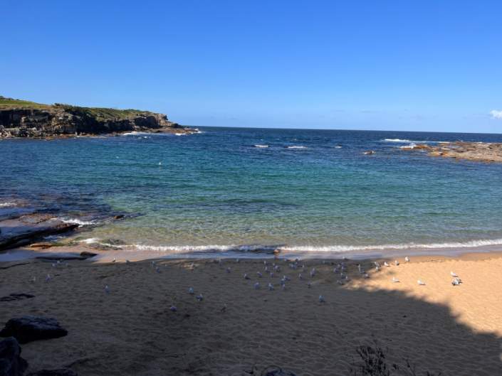 Little Bay Beach: Sydney's Hidden Gem - AdventureHQ | Travel